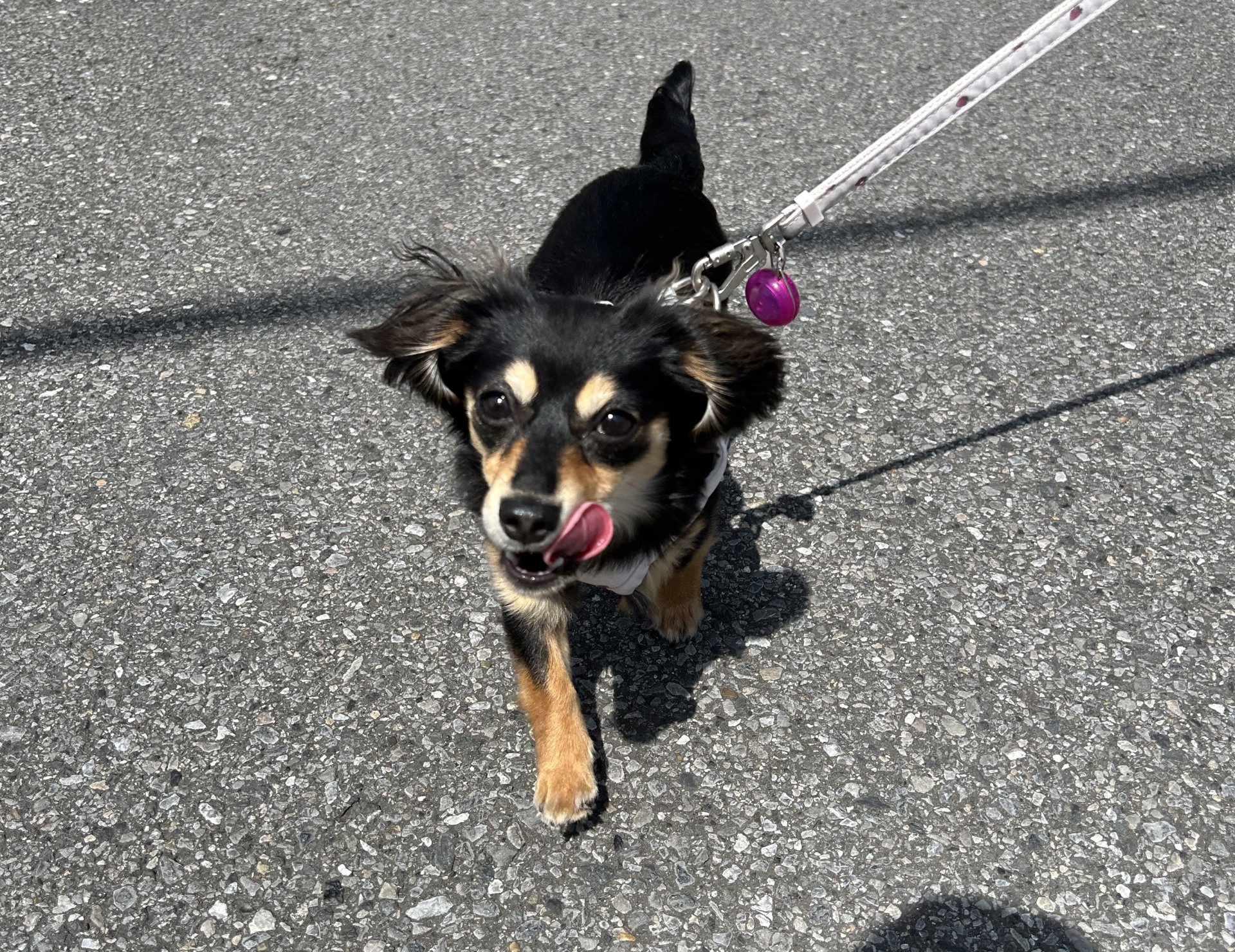 はじめましてmikuです！ – CloudNative Inc. BLOGs